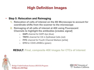 BUGS Work Flow Presentation | PPT