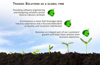 Intro to Triassic Solutions | PDF