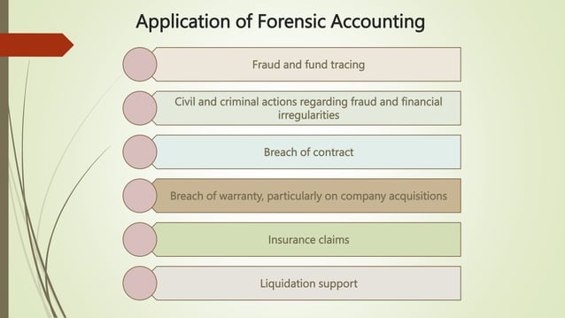 Forensic Accounting Techniques and Fraud Investigation in Digital Age ...