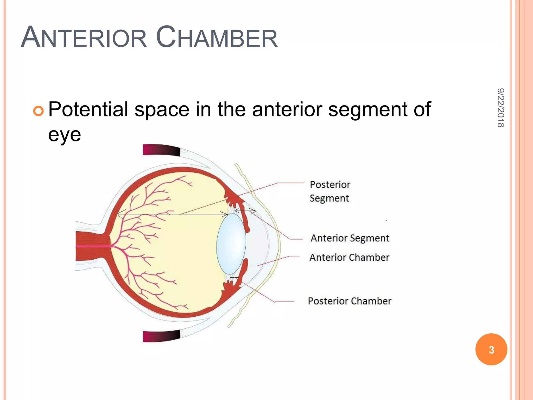 Anterior Chamber Anatomy 102 Best Ideas About Ophthalmology On