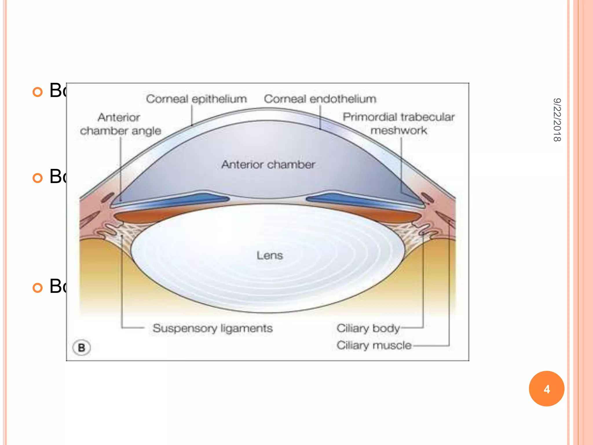 Anterior Chamber : Anatomy , Aqueous Production & Drainage | PPTX