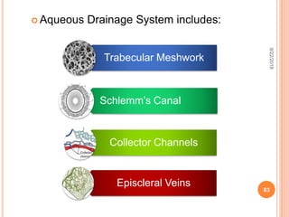 Anterior Chamber : Anatomy , Aqueous Production & Drainage | PPT