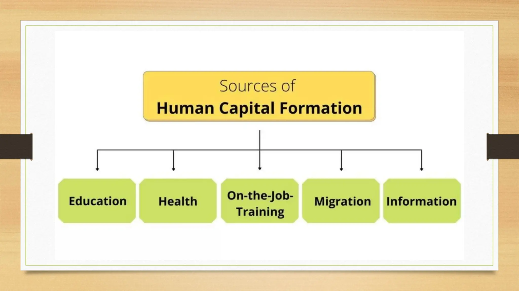 Human capital formation in India project for class 12 | PDF