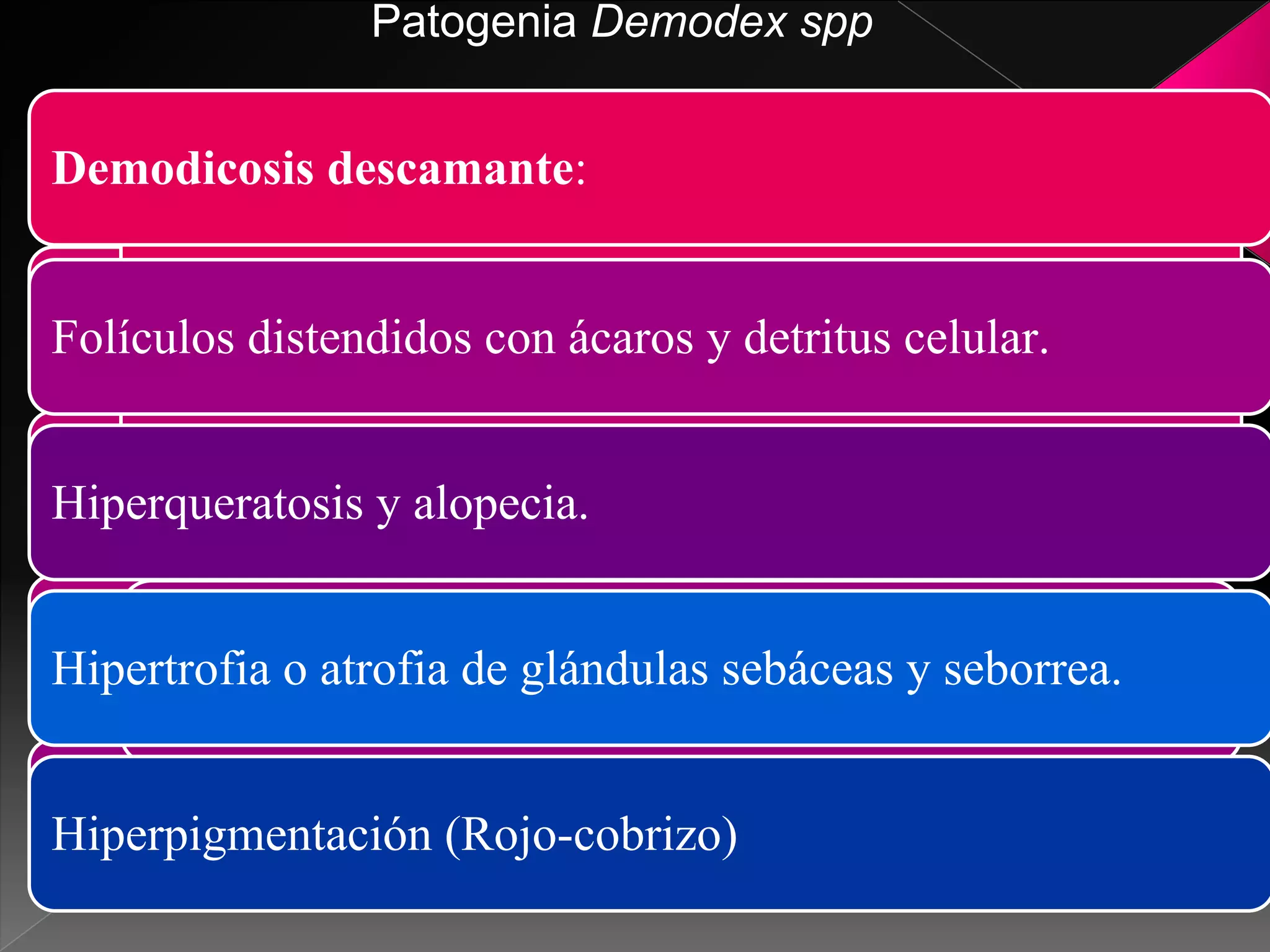 Sarna en los Animales domésticos | PDF