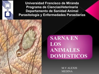 Sarna en los Animales domésticos | PDF