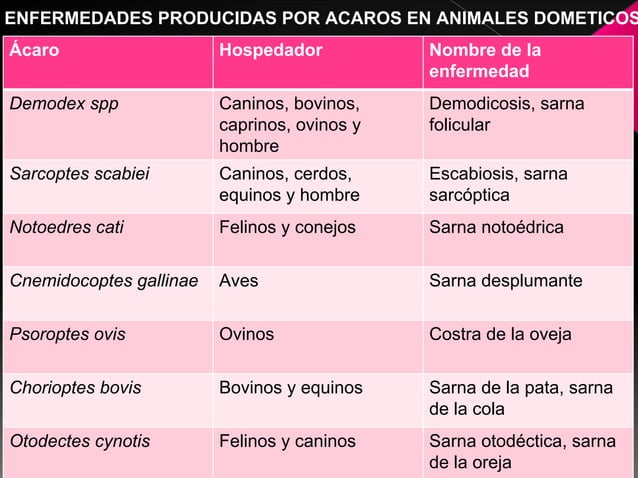 Sarna en los Animales domésticos | PDF