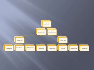 Divisions of Law | PPTX