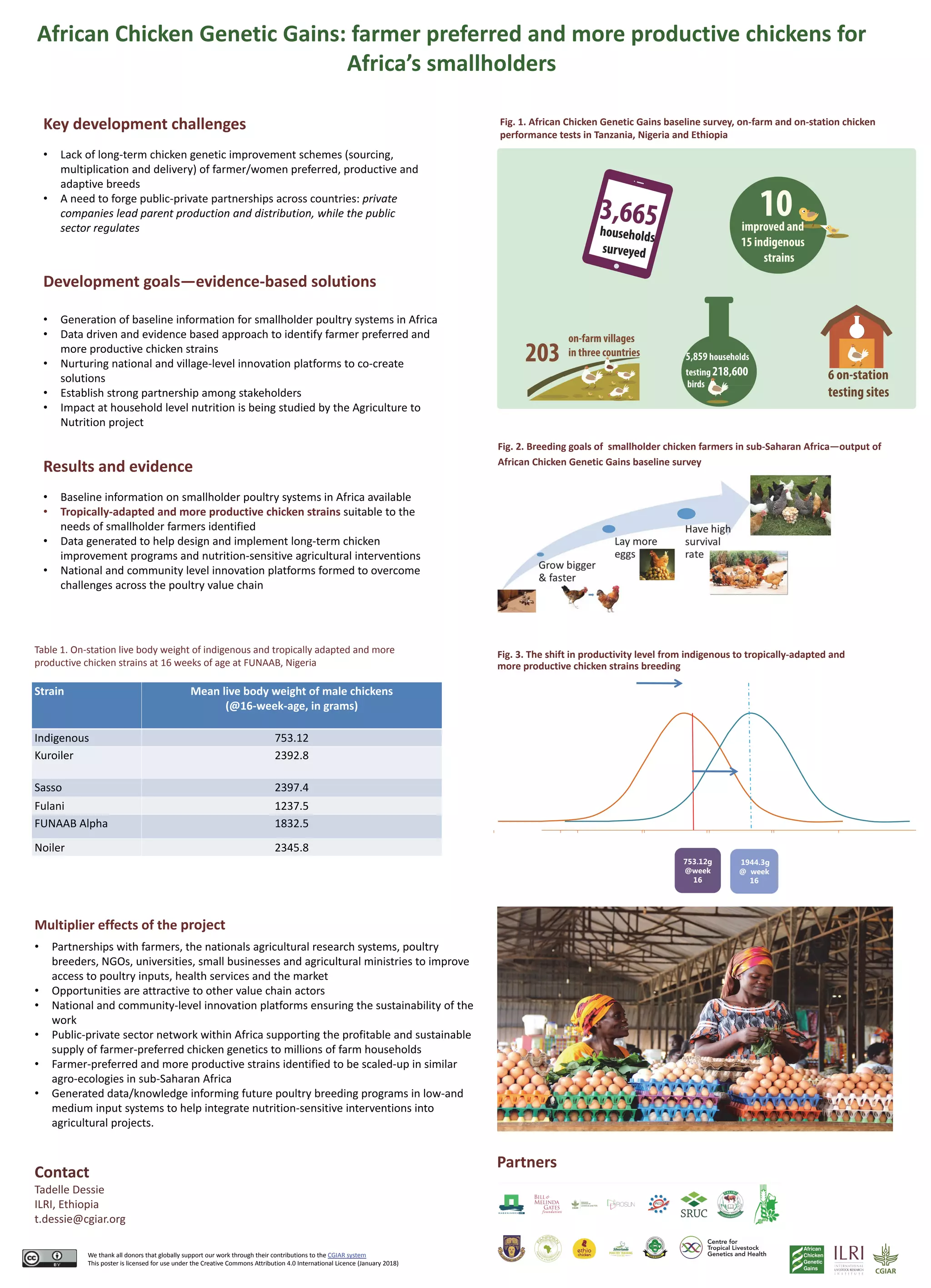 African Chicken Genetic Gains: Farmer preferred and more productive ...