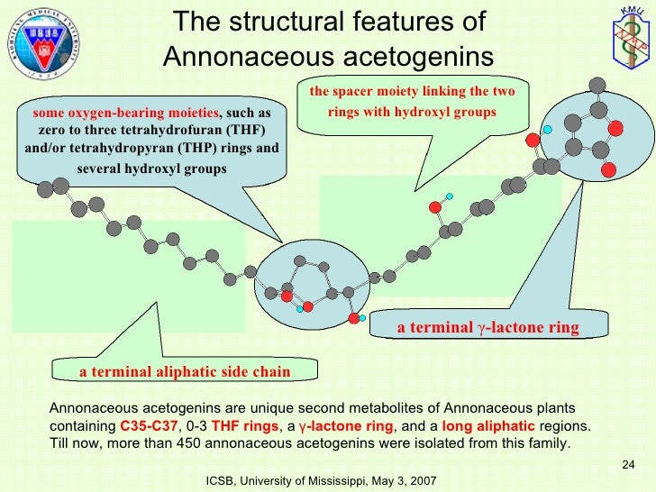 Acetogenins In Vivo re: Wu - (p 22-36)