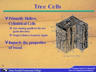 ACH 121 Lecture 07 (Wood) Part 1 | PPT
