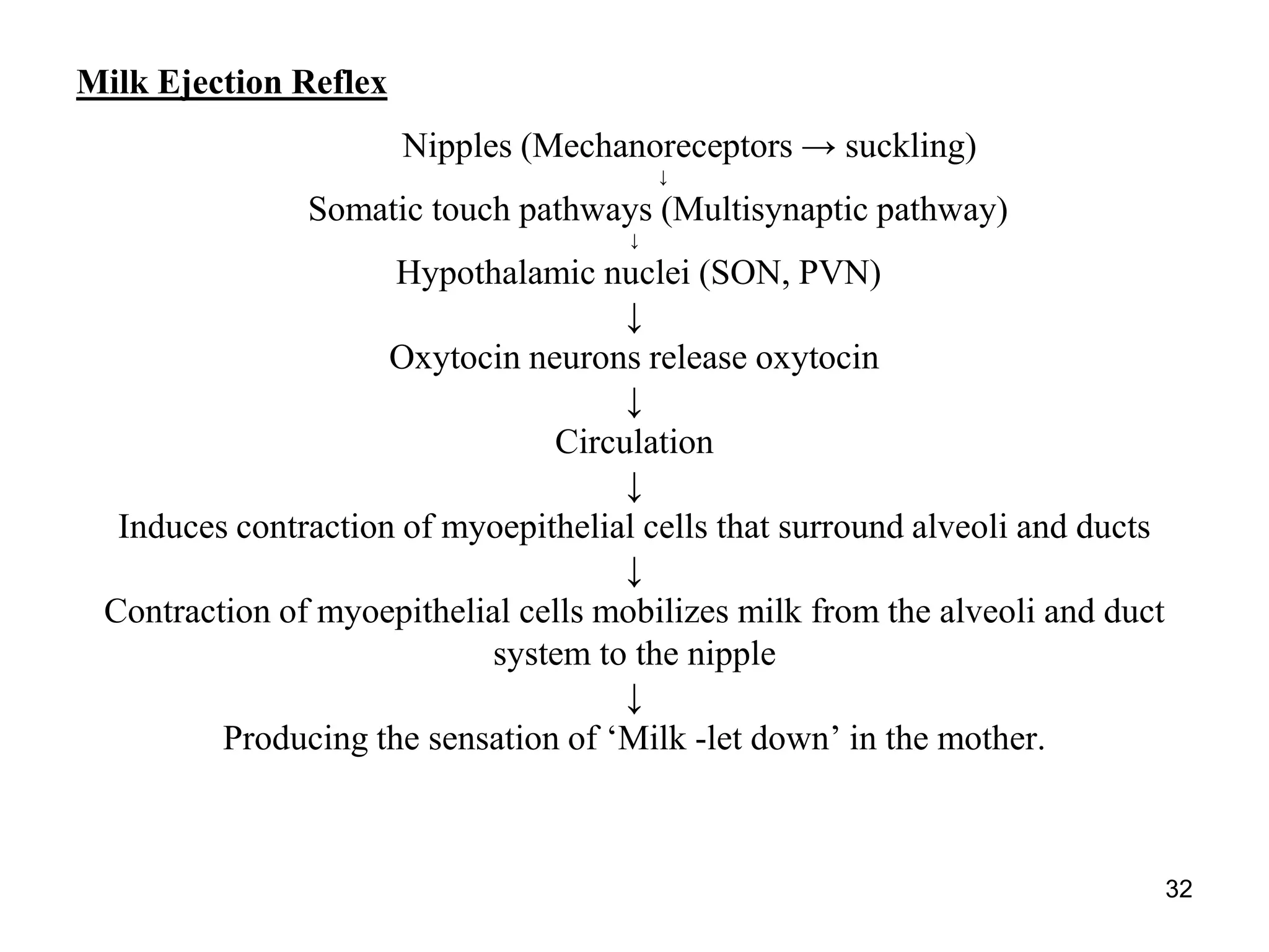 A Chapter 7 - Endocronology-1.ppt