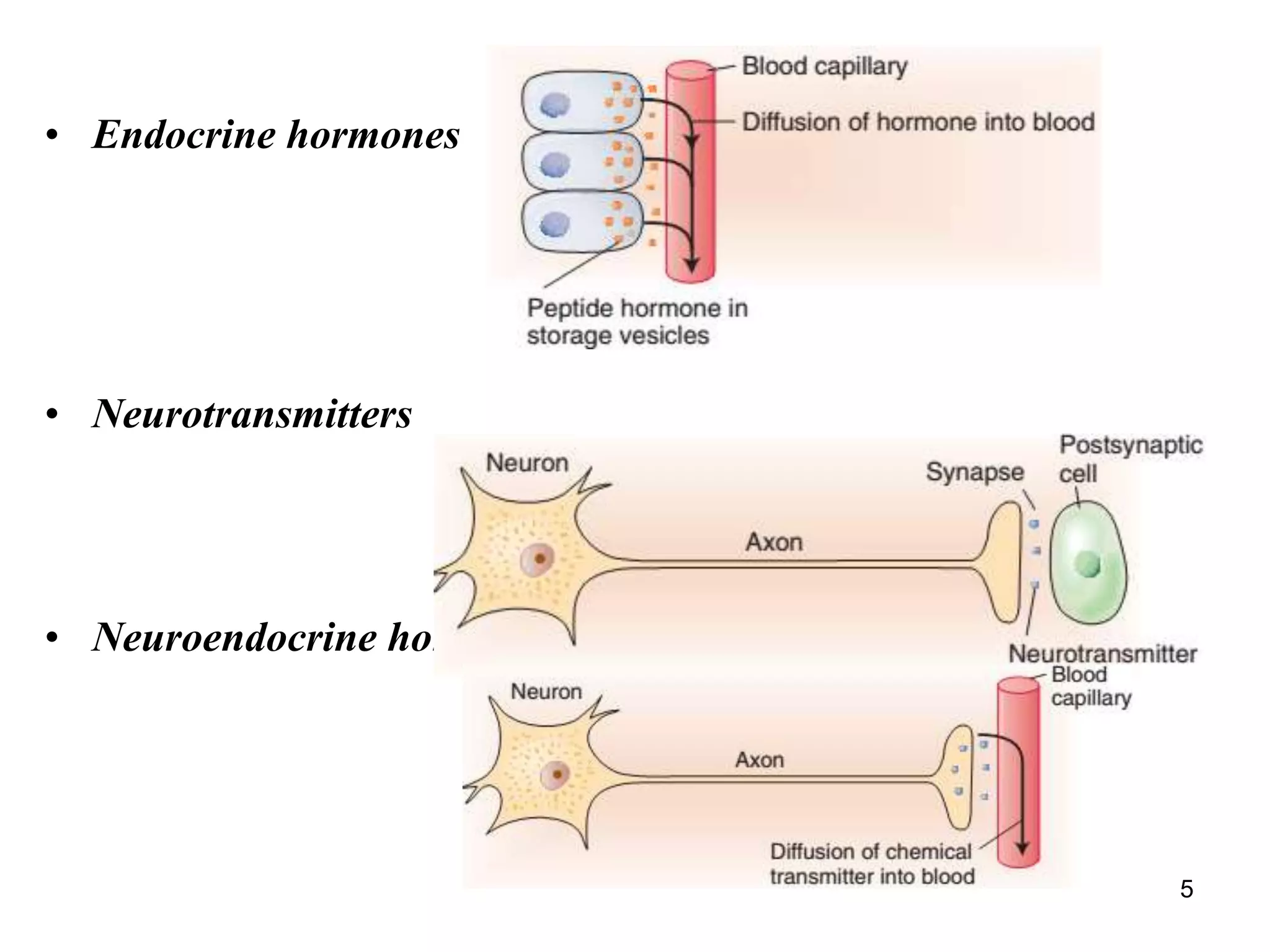 A Chapter 7 - Endocronology-1.ppt