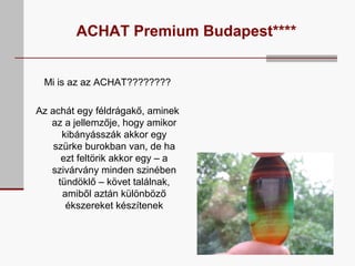 Achat Premium Budapest | PPT