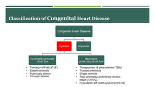 Congenital Heart Defects Classification