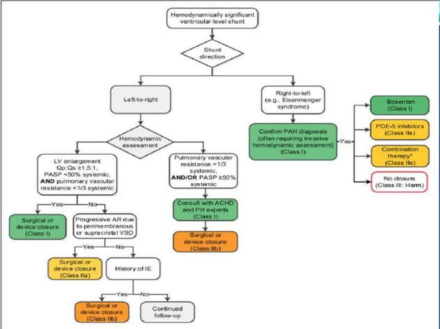ACHD guidelines part I | PPTX
