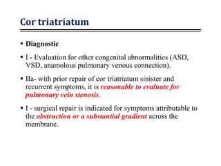 ACHD Guidelines part II | PPT