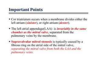 ACHD Guidelines part II | PPT