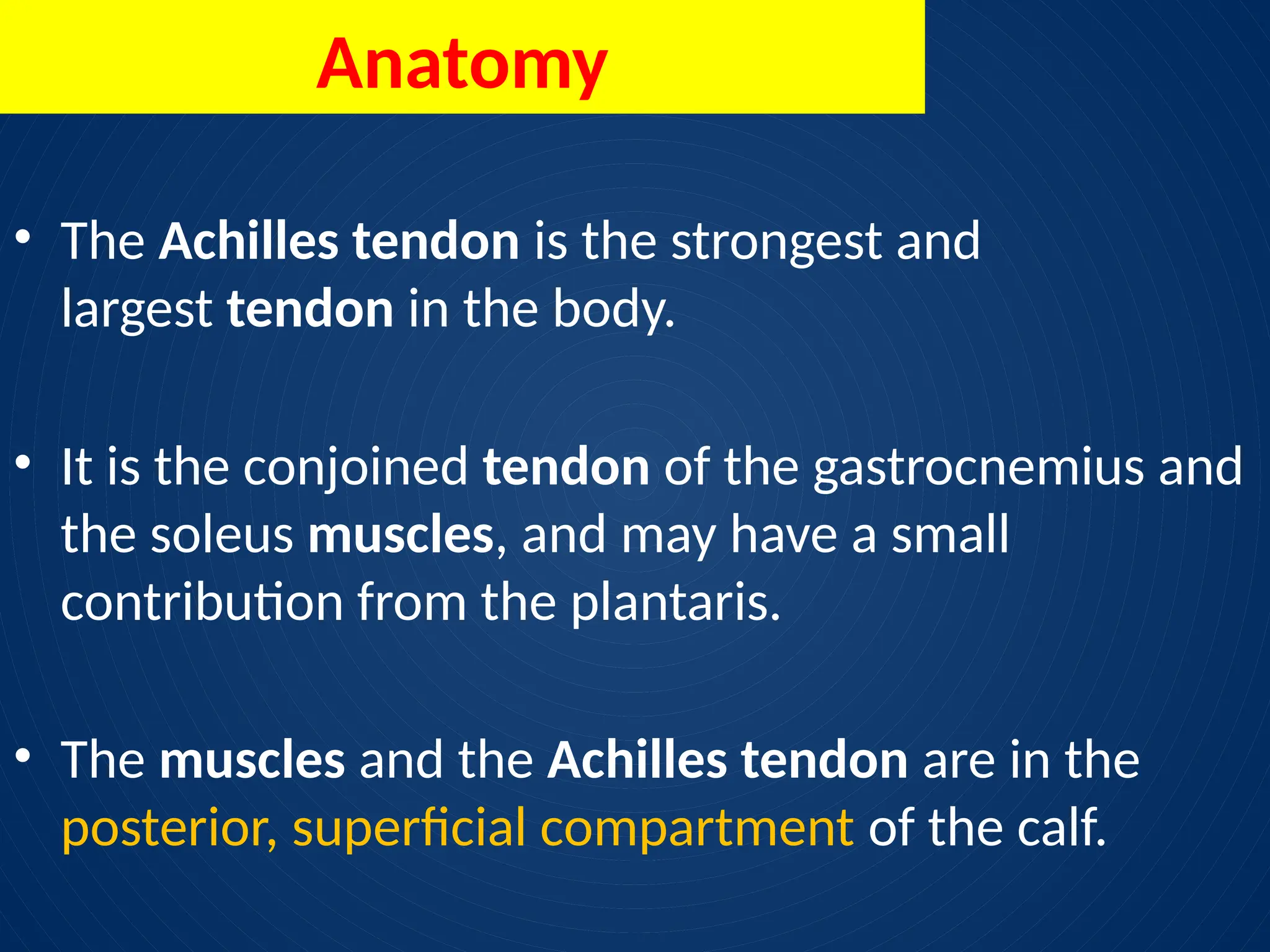 Achilles Tendon Injuries: Presentation and Management | PPTX