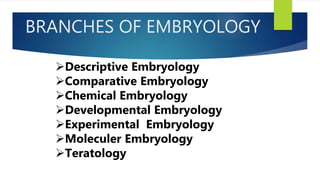 Achievements and perspectives of embryology | PPTX | Pregnancy ...
