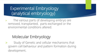 Embryology Definition