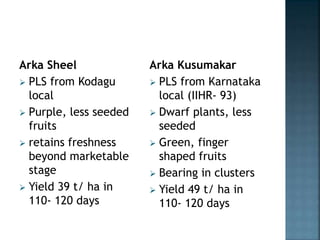 Achievements in crop improvement of brinjal | PPTX | Gardening | Home ...