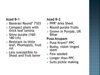 Achievements in crop improvement of brinjal | PPTX | Gardening | Home ...