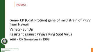 Achievements of Biotechnology and PTC in Horticultural Crops.pptx