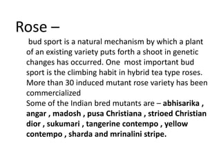 Mutation breeding in horticultural crops. | PPTX