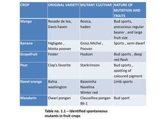 Mutation breeding in horticultural crops. | PPTX