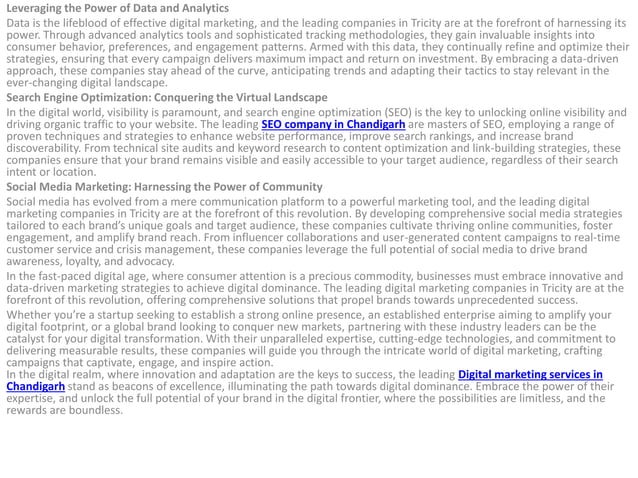 Achieving Digital Dominance Leading Digital Marketing Companies In ...