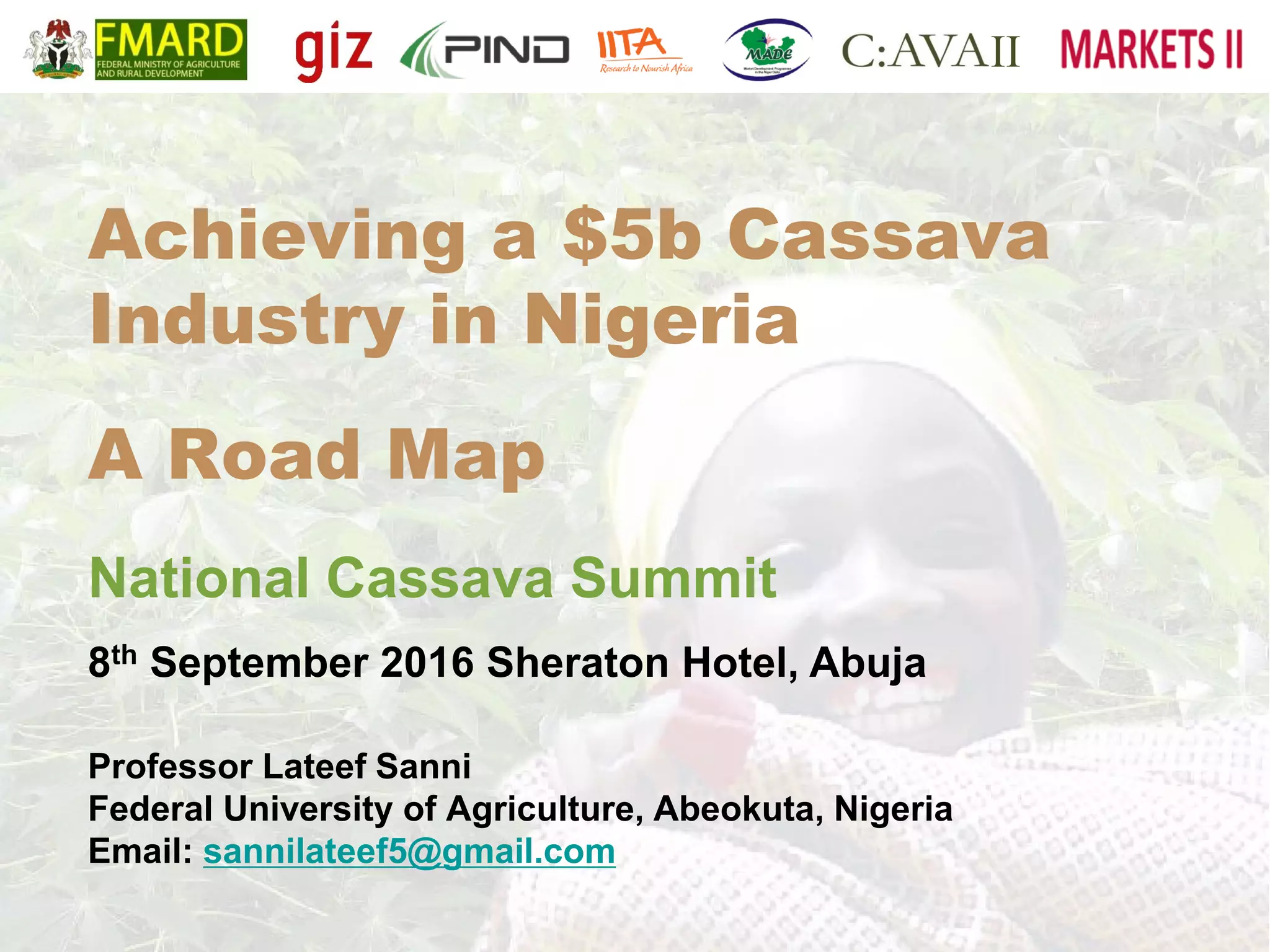 Achieving a $5bn Cassava Industry in Nigeria | PDF