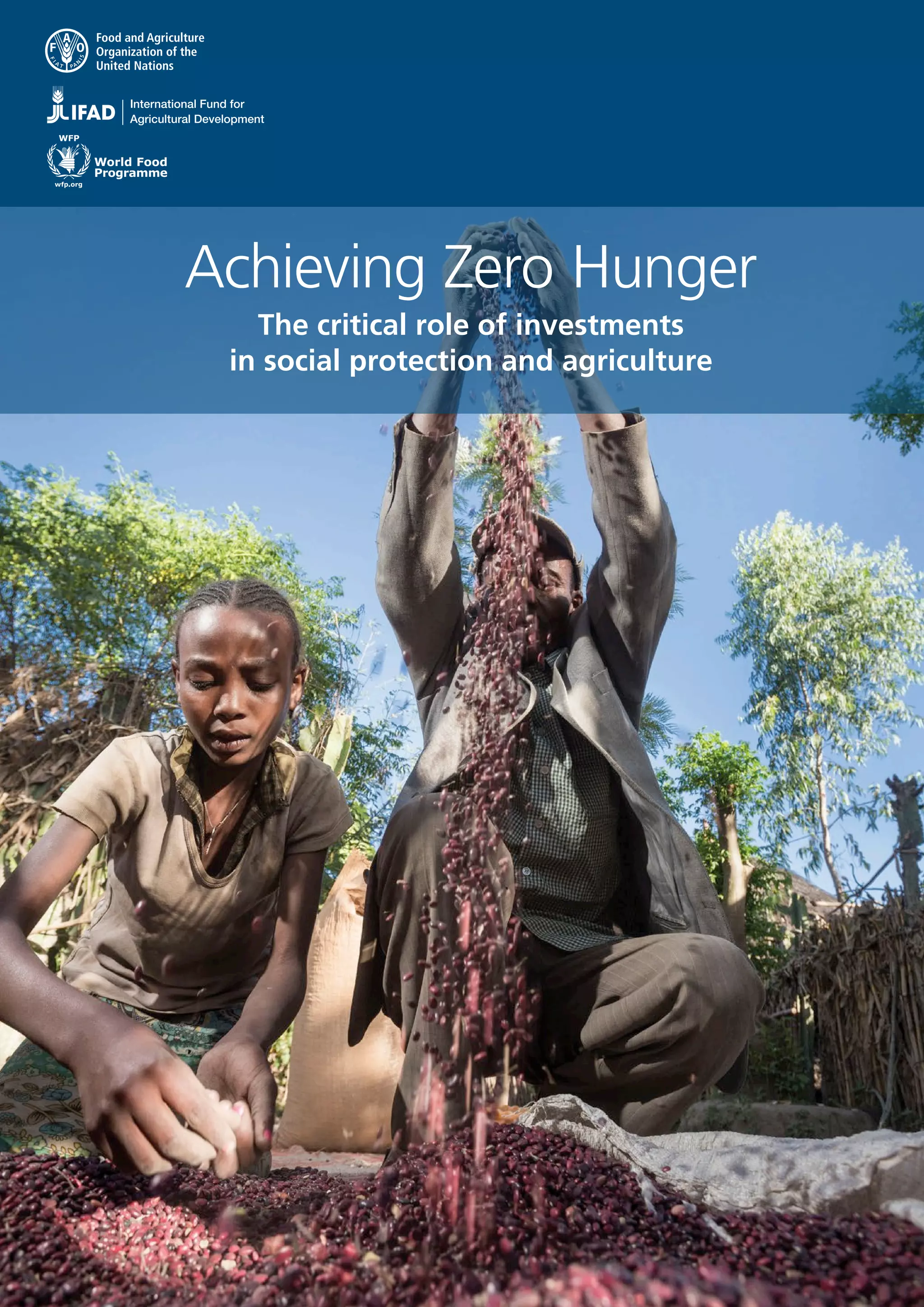 Achieving zero hunger | PDF