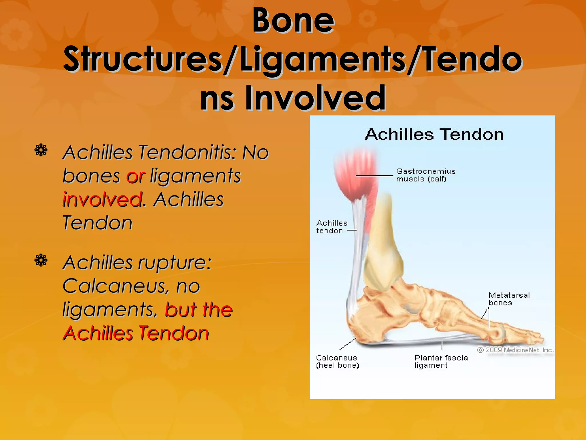 Achilles Tendonitis/Rupture | PPT