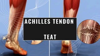 Achilles tendon pathology and trauma radiology | PDF
