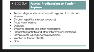 Achilles tendon pathology and trauma radiology | PDF
