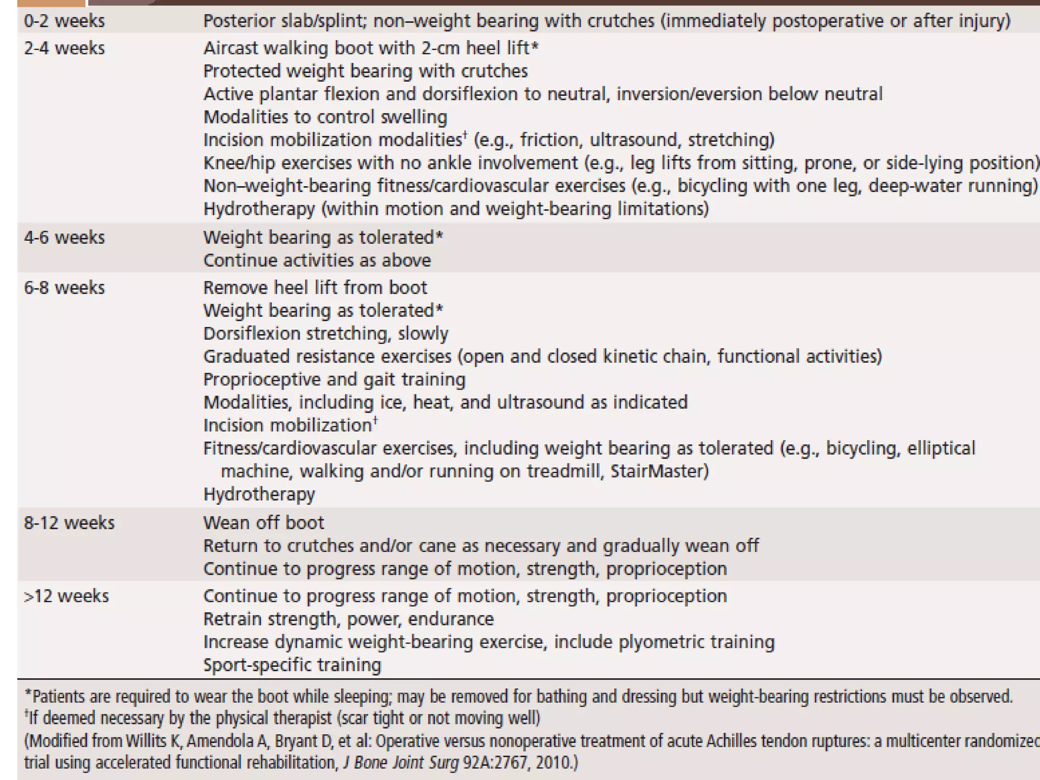Achilles tendon pathology | PPT