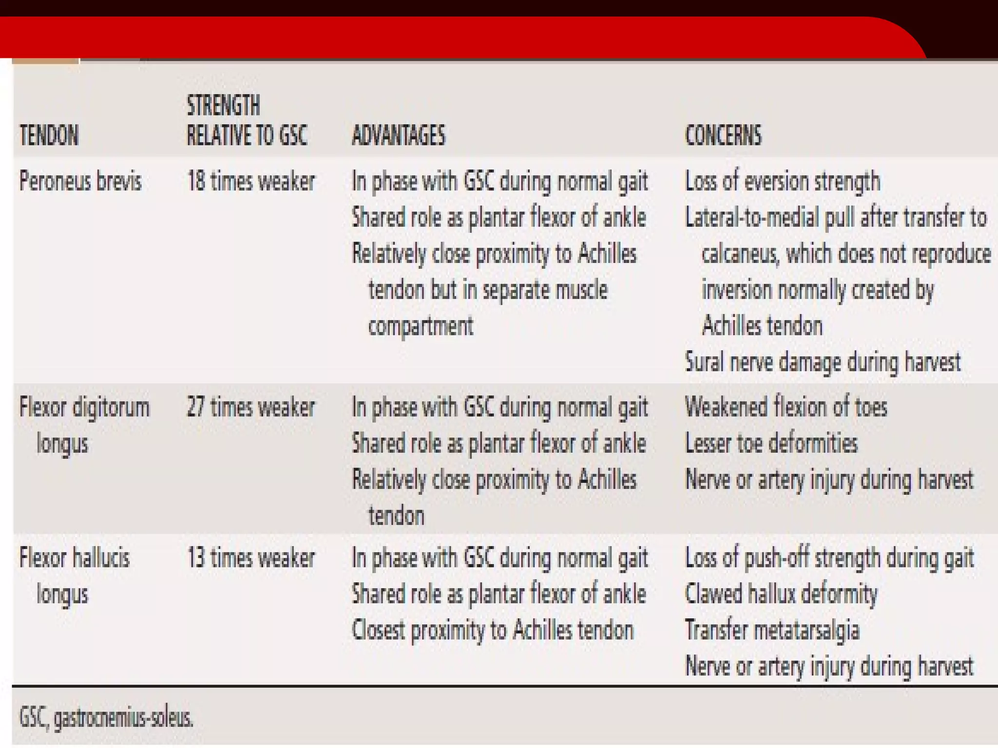 Achilles tendon pathology | PPT