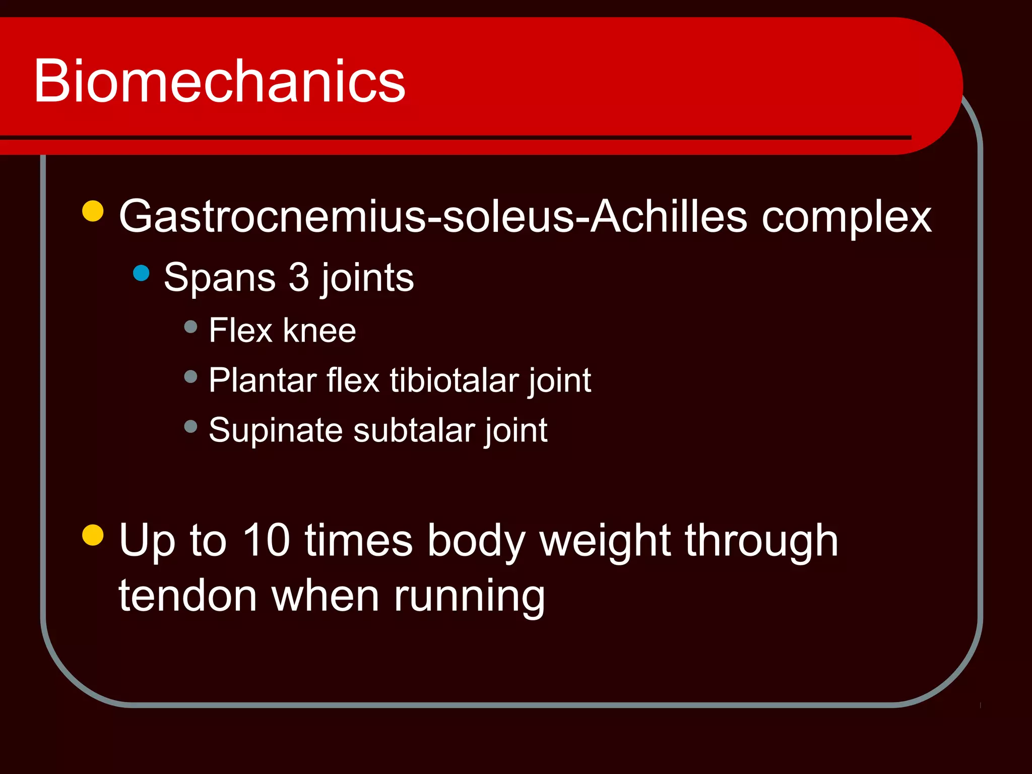 Achilles tendon pathology | PPT