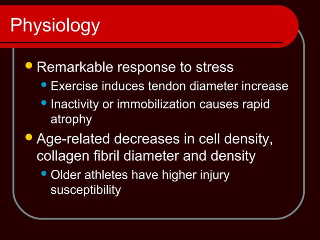 Achilles tendon pathology | PPT