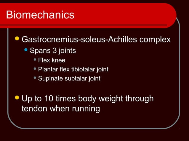 Achilles tendon pathology | PPT
