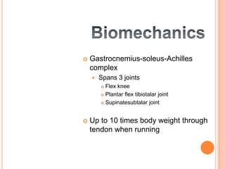 Achilles tendon for presentation | PPTX