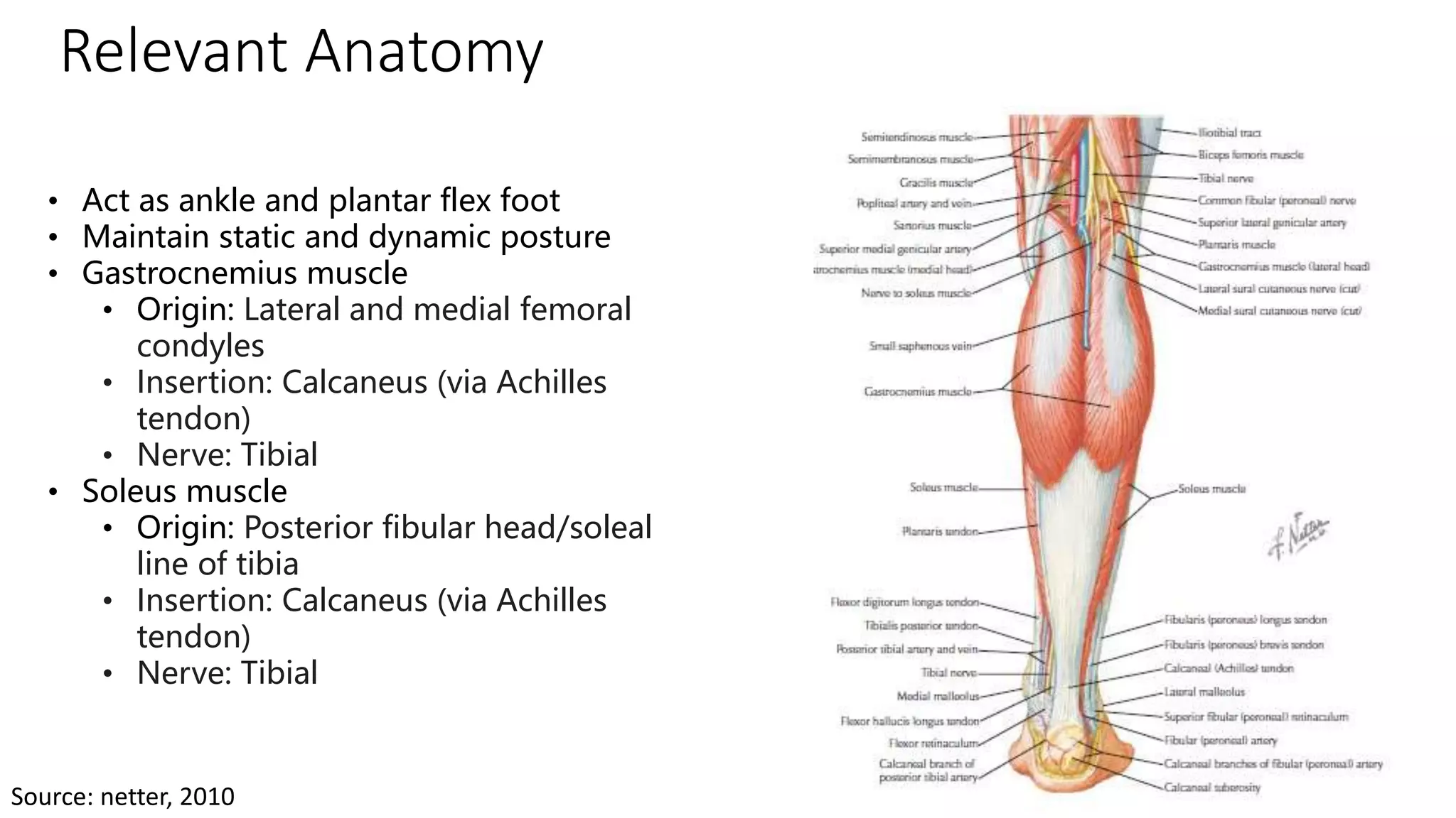 Achilles Tendon Lengthening.pptx