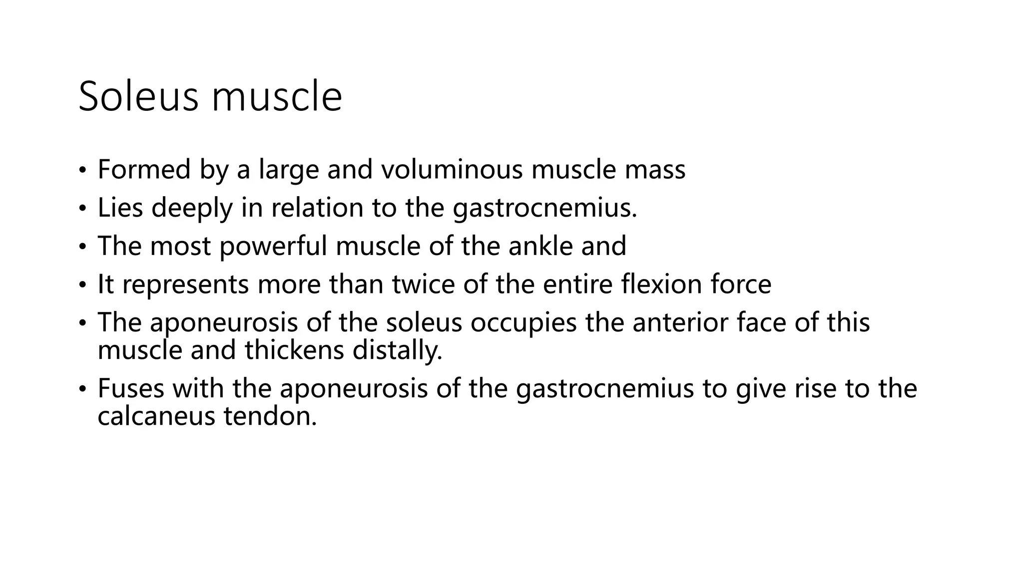 Achilles Tendon Lengthening.pptx