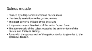 Achilles Tendon Lengthening.pptx