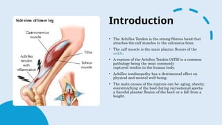 Achilles Tendon Rehabilitaion- summary .pptx