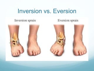 Achilles Tendon Rupture.pptx