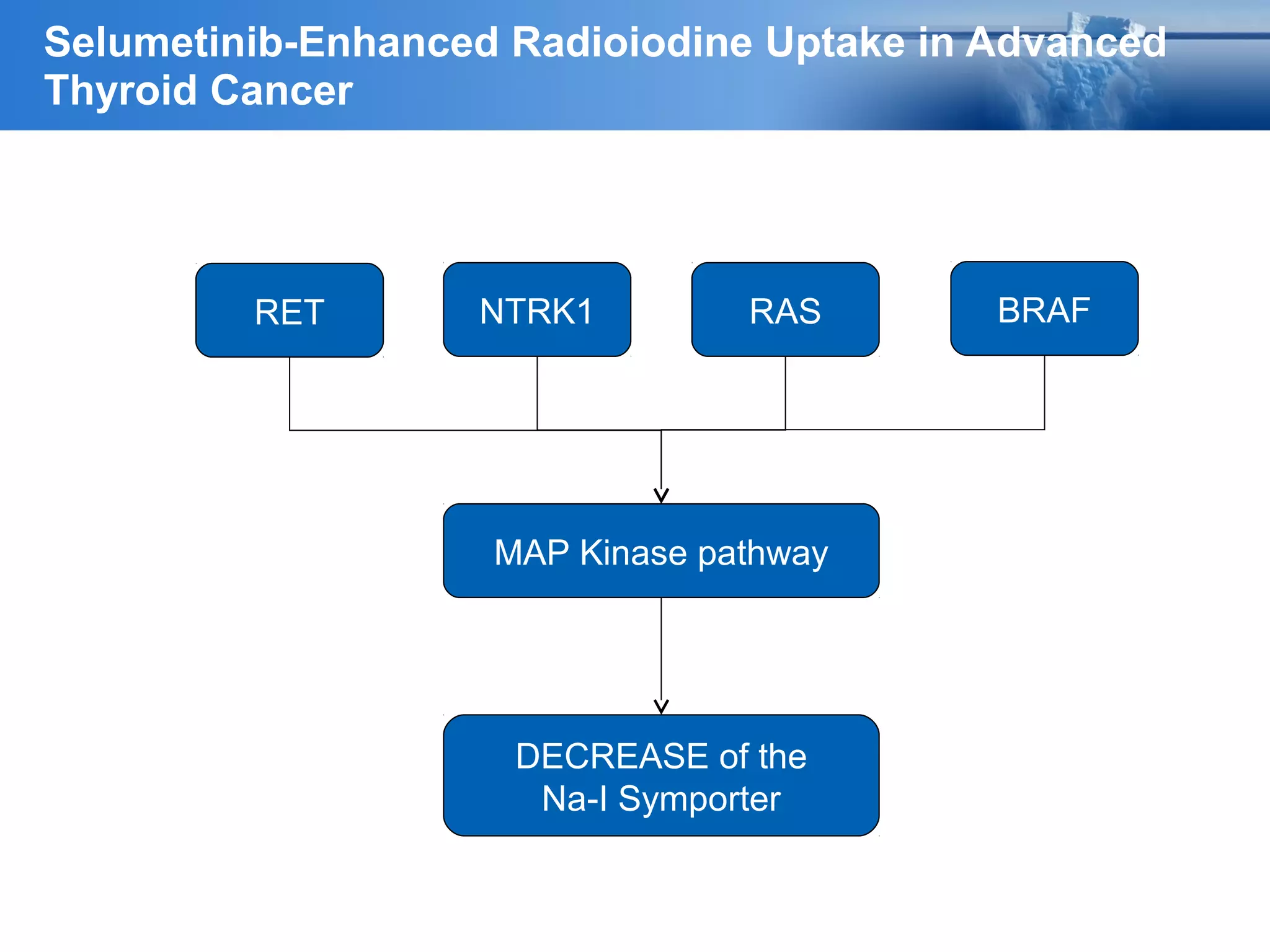 Treatment of radioactive iodine-refractory metastatic differentiated thyroid carcinoma | PPT