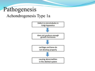 Achondrogenesis type 1a. pptx | PPTX