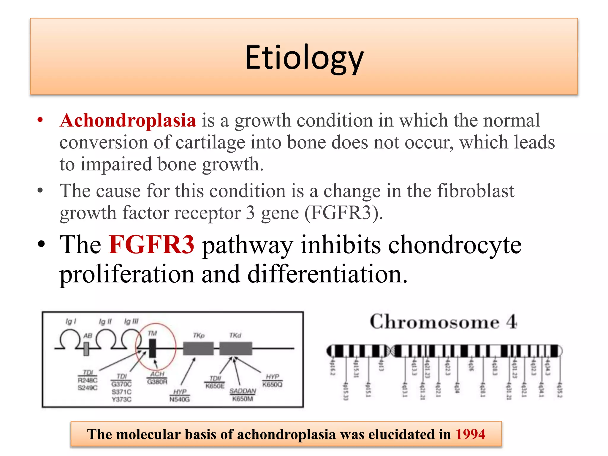 Achondroplasia in children.pptx