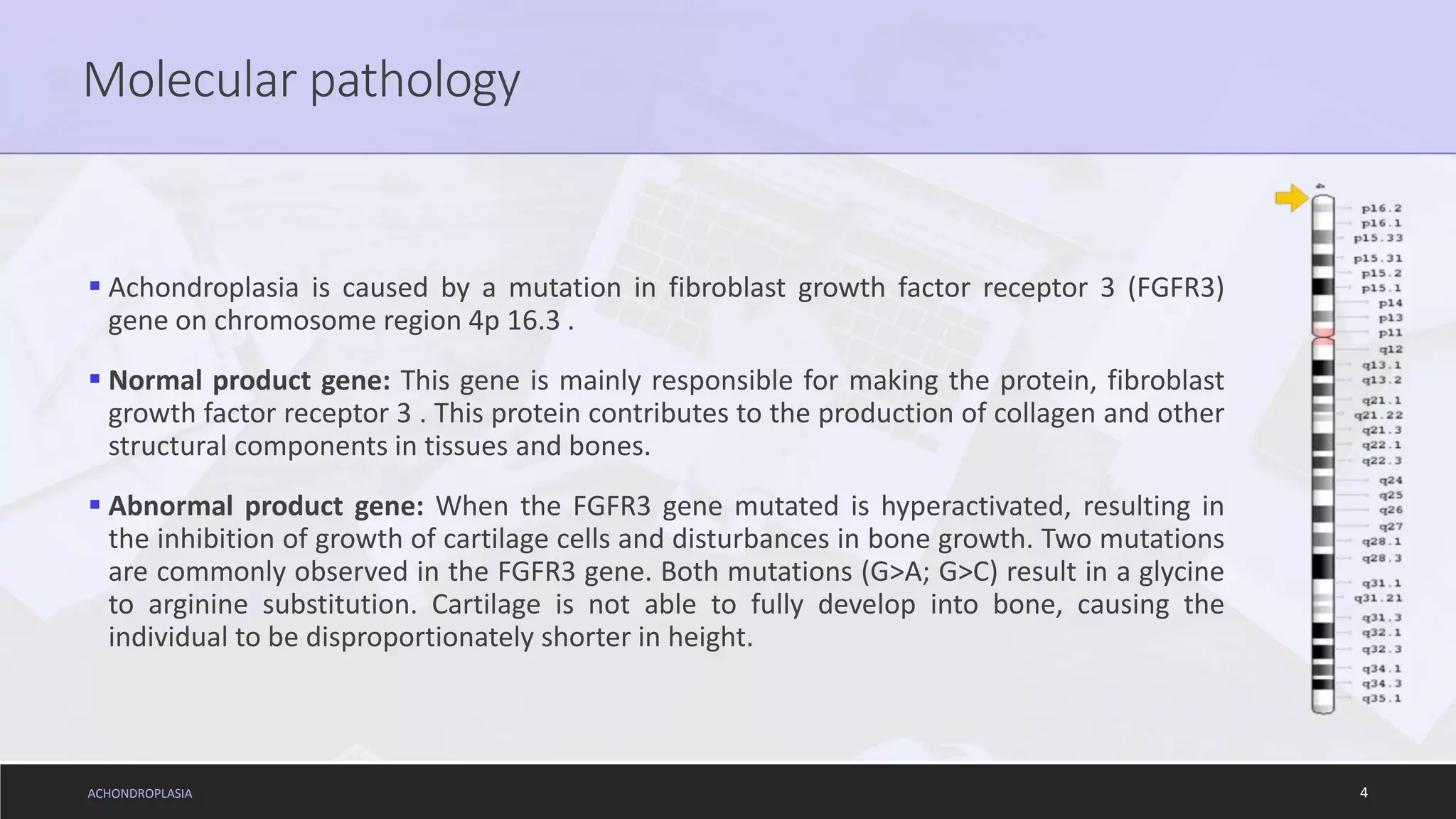 Achondroplasia | PPTX
